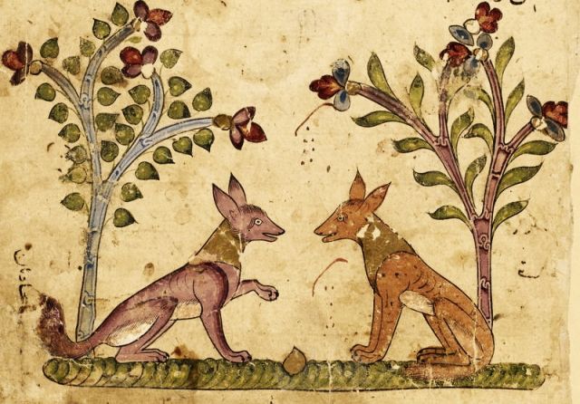 Шакал — Телемапедия | Энциклопедия Телемы и Магии